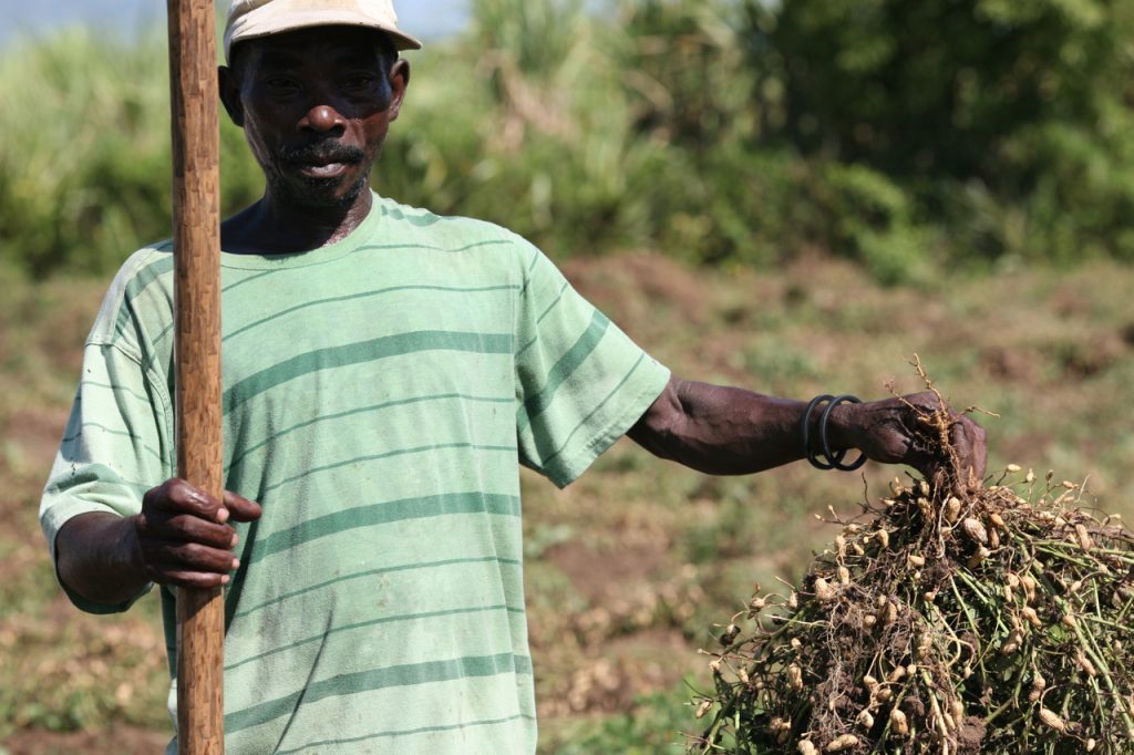 PlumpyField® - Groupe Nutriset