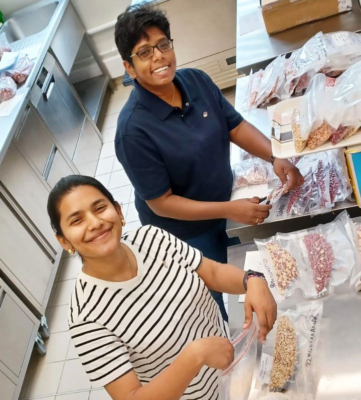 VAMP: a method for qualifying raw peanuts - Groupe Nutriset